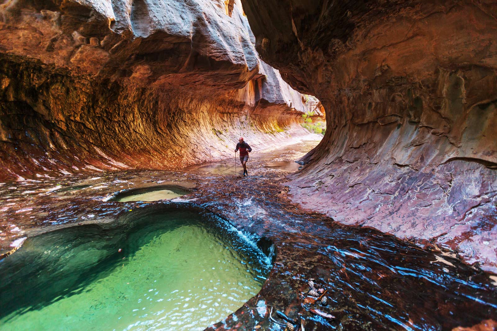 Best Hiking Trails in the USA for Beginners: Explore Nature with Ease ...