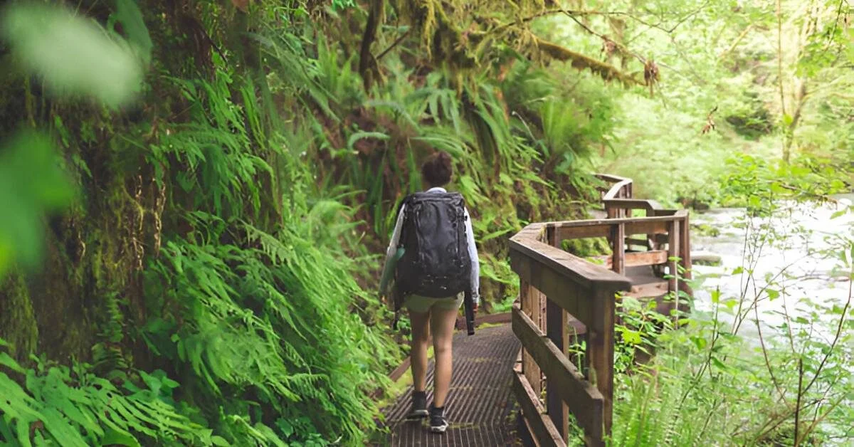 Eco-Friendly Travel Experiences in the USA